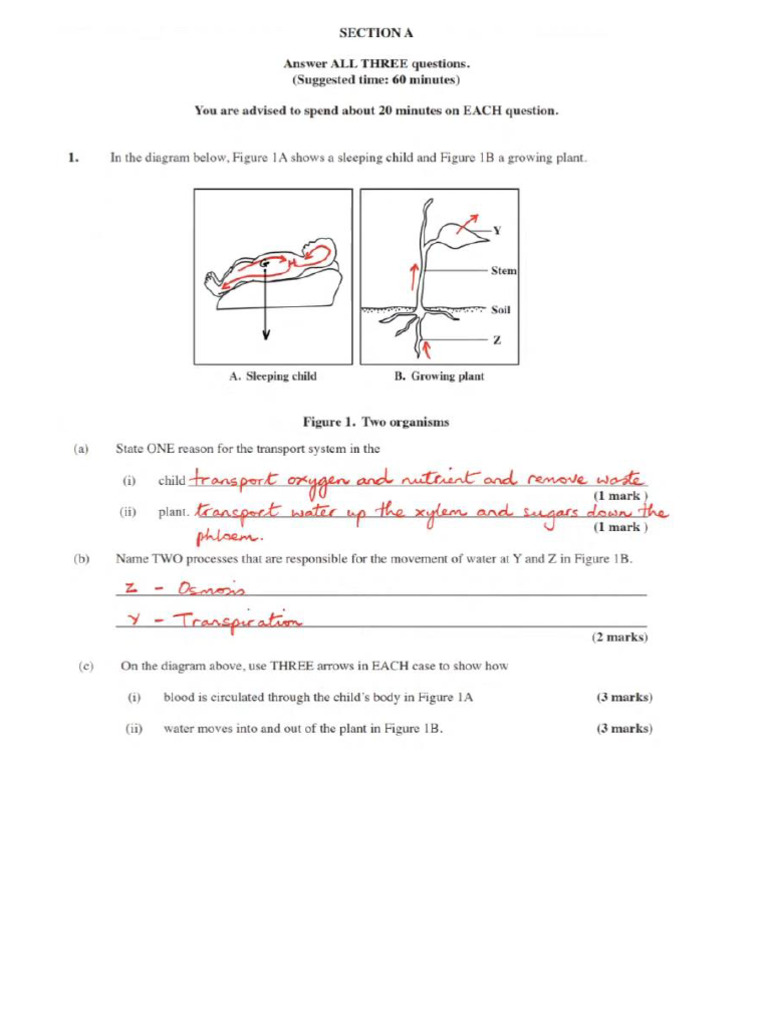 CSEC Integrated Science Paper 2 Solutions FOR MAY - JUNE 2010 | PDF