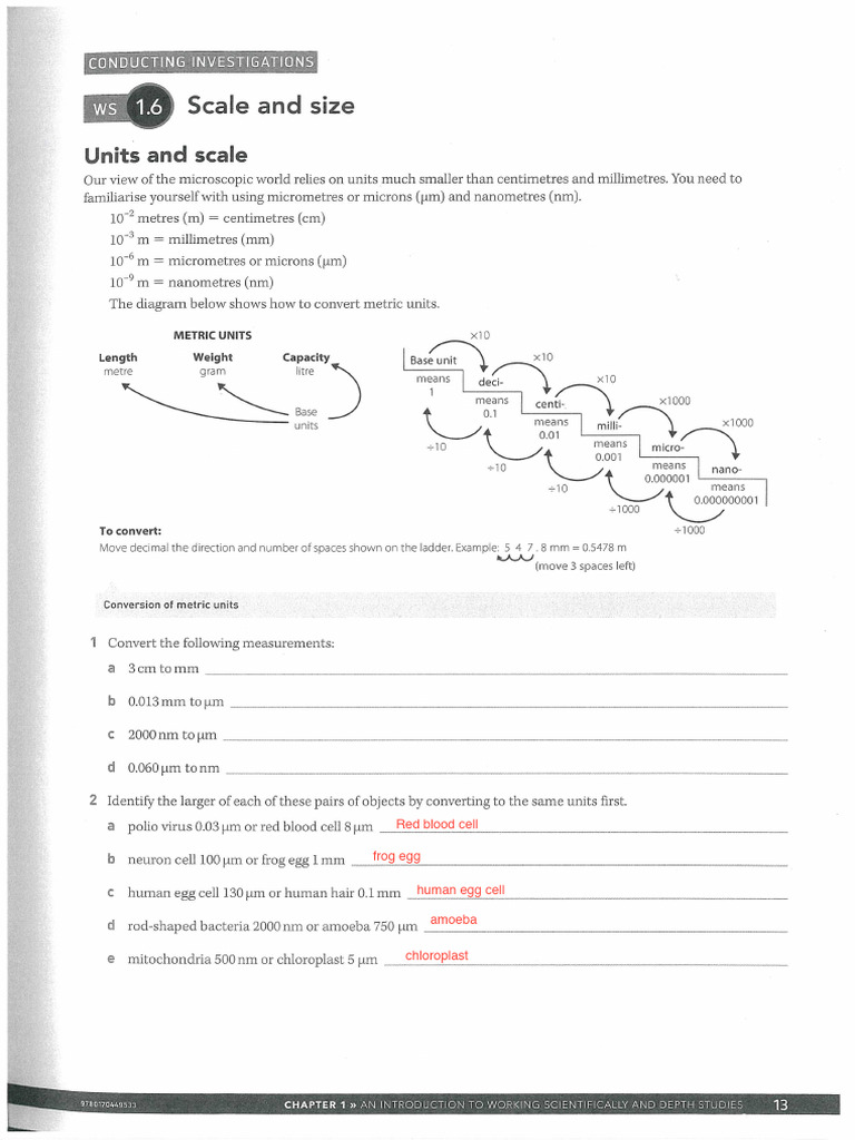 02.Cells - Scale and Size | PDF