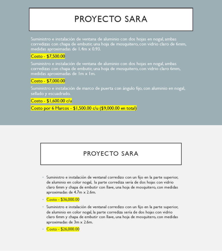 Proyecto Sara | PDF