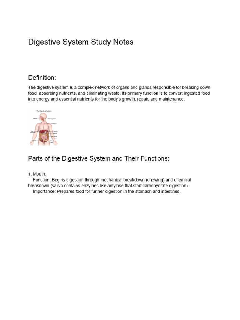 Digestive System Study Notes | PDF