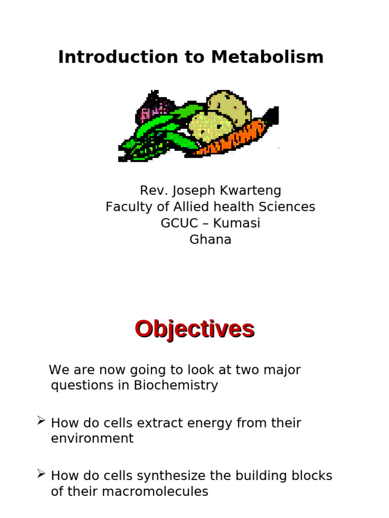 Introduction to Metabolism | PDF