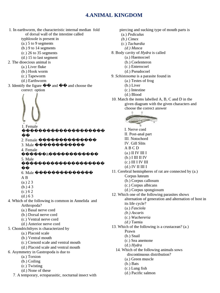 4.animal Kingdom Questions | PDF