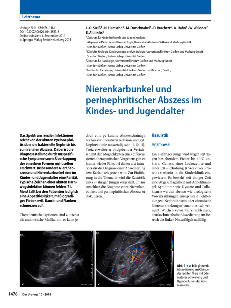 Renal Carbuncle and Perirenal Abscess in Children and Adolescents | PDF
