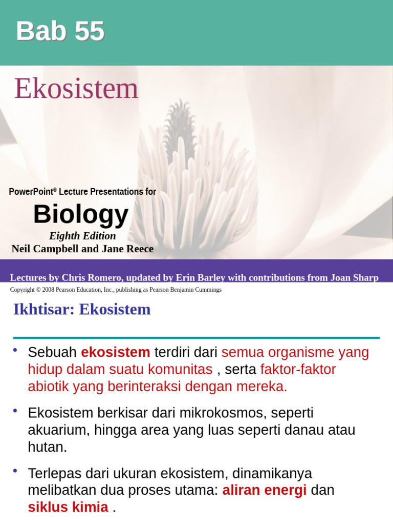 Ecosystems | PDF