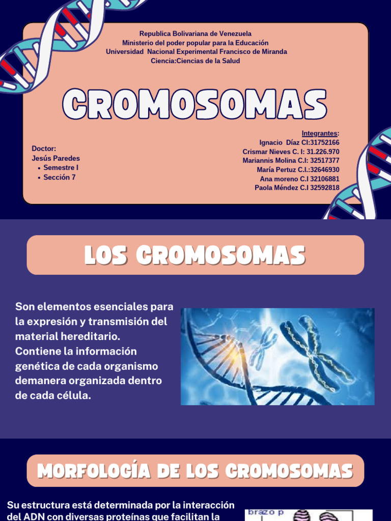 Cromosomas | PDF