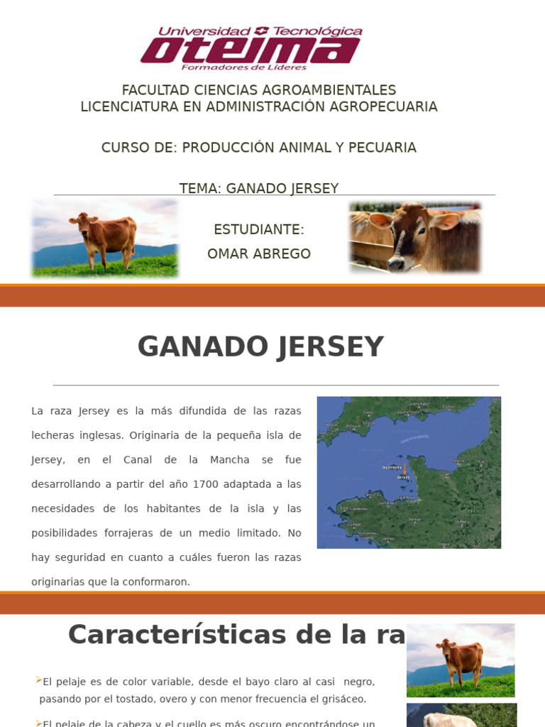 Jersey | PDF