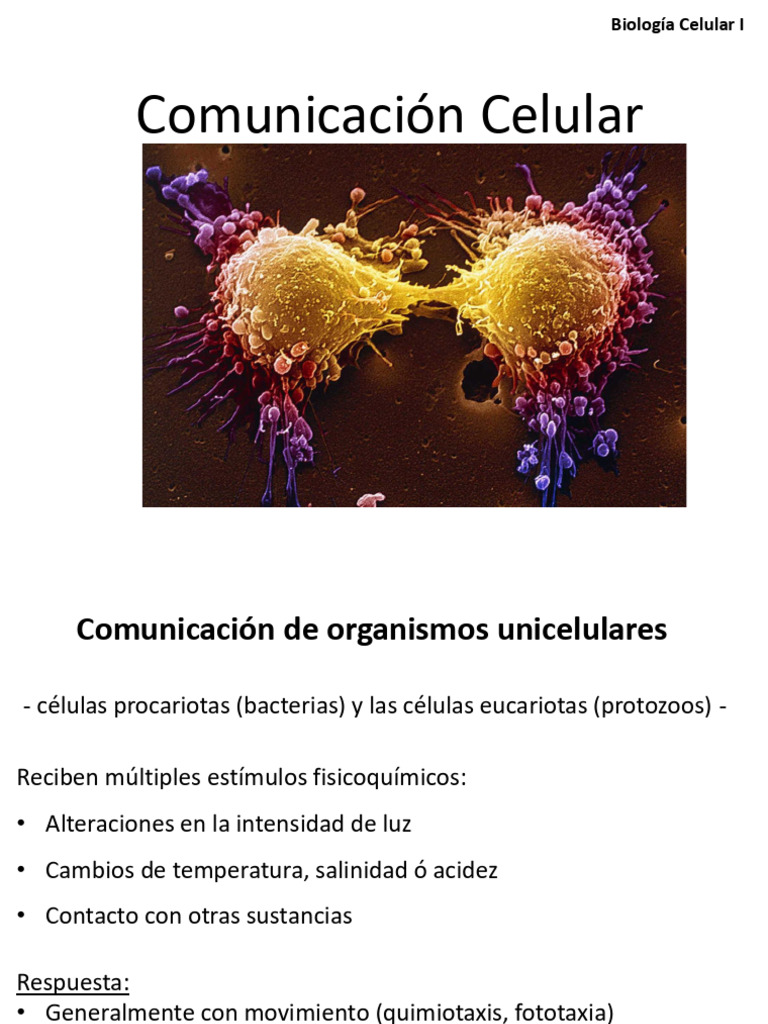 Biologia Celular 1 - Comunicacion Celular | PDF
