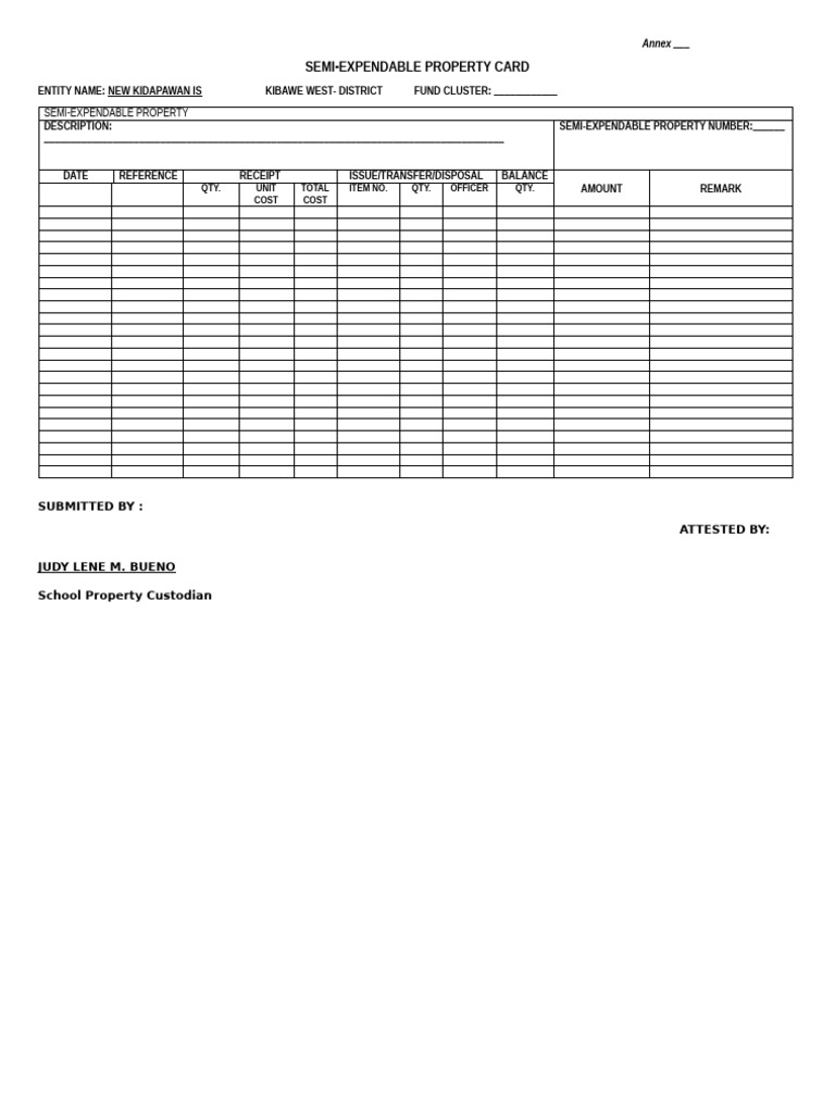 SEMI-EXPENDABLE-PROPERTY-CARD-FORM-TEACHER-modules | PDF