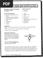 Class 5 - Science - Book PDF | PDF | Seed | Germination