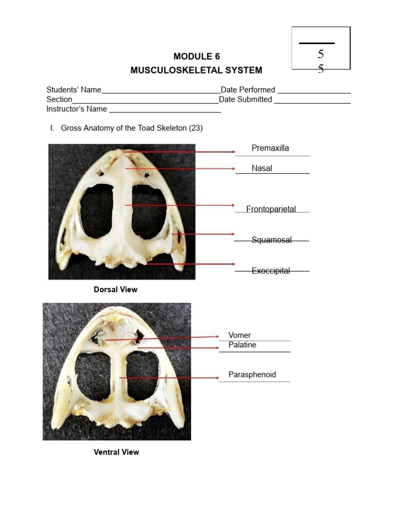 GENBIO2 LAB MODULE 6 ANSWER SHEET | PDF