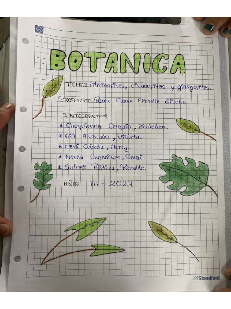 Foto Compressed | PDF