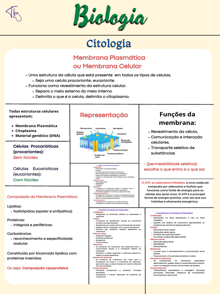 Resumo de Citologia | PDF | Membrana celular | Trifosfato de adenosina
