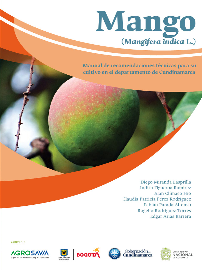 Mango | PDF