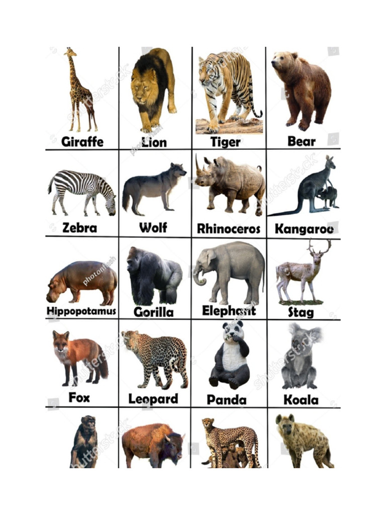 Wild Animals | PDF