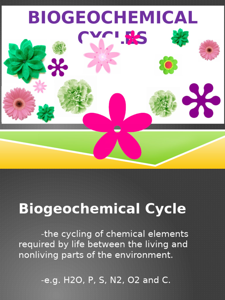 Biogeochemical Cycle | PDF