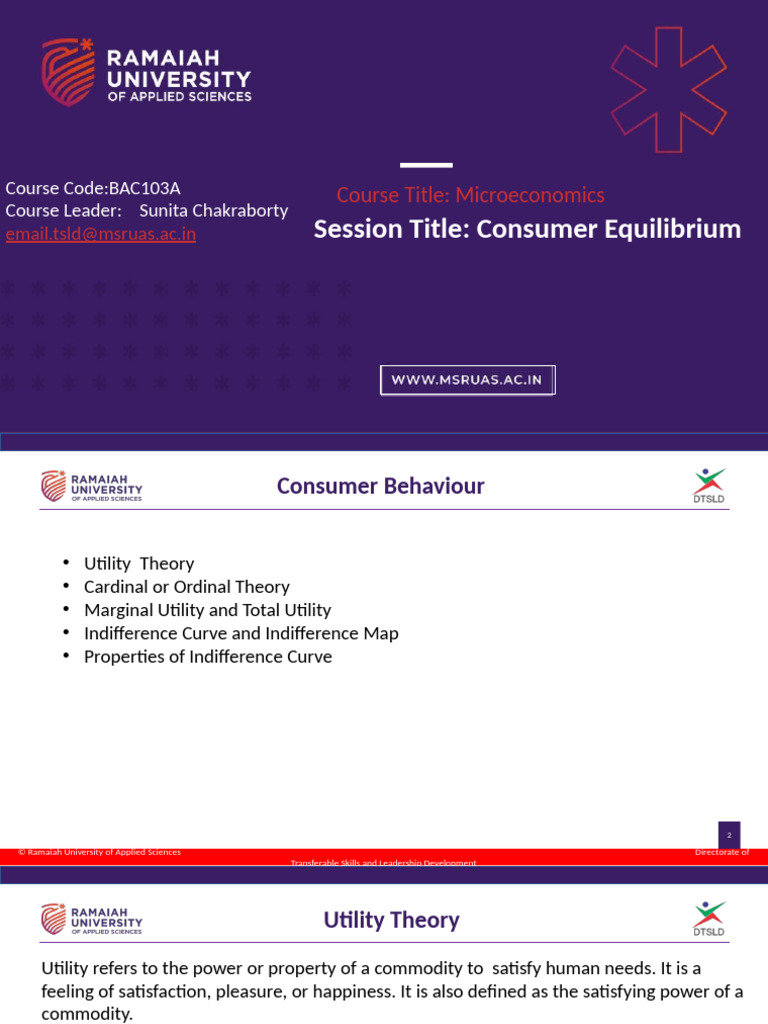 Consumer Equilibrium 3 | PDF