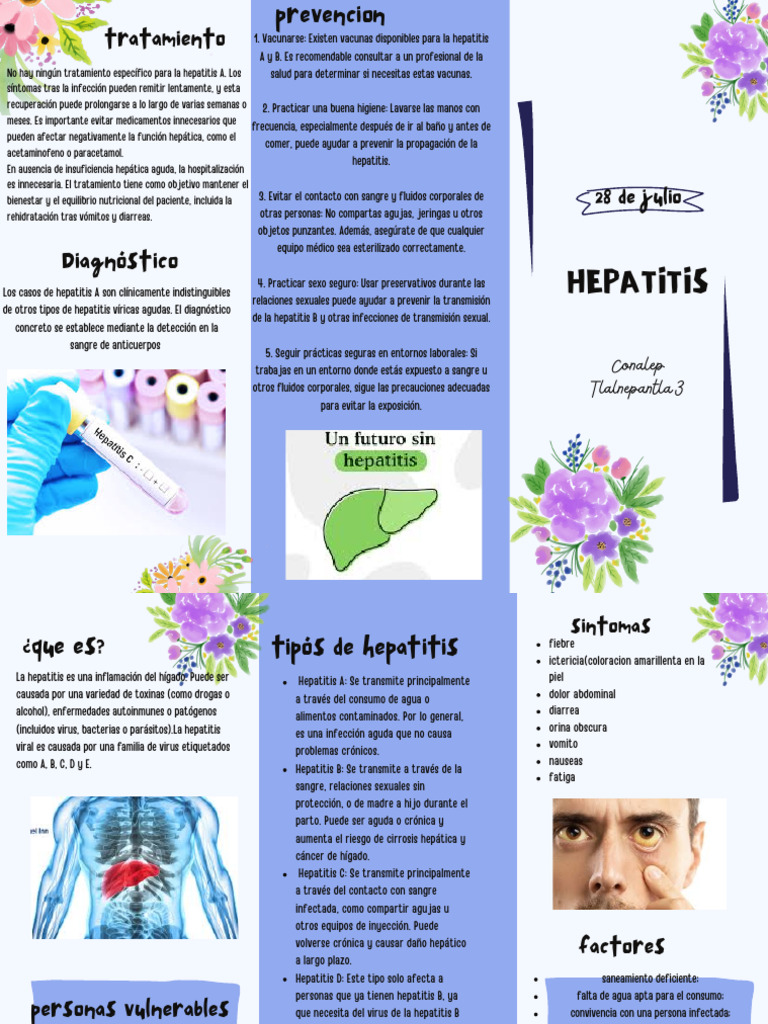 folleto.hepatitis (1) | PDF