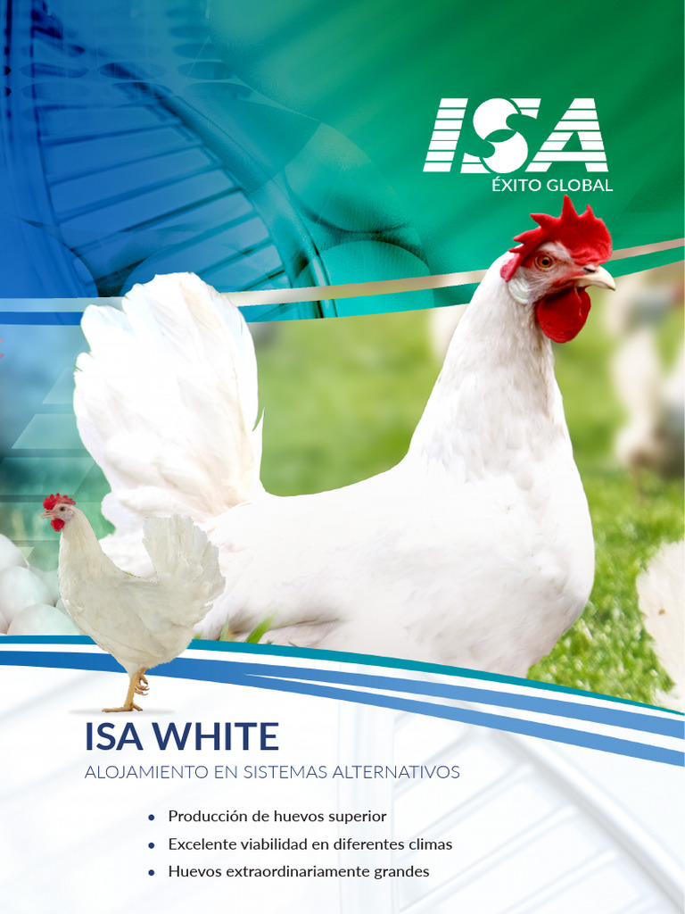ISA White Cs Product Leaflet Alternative L1211-ES | PDF