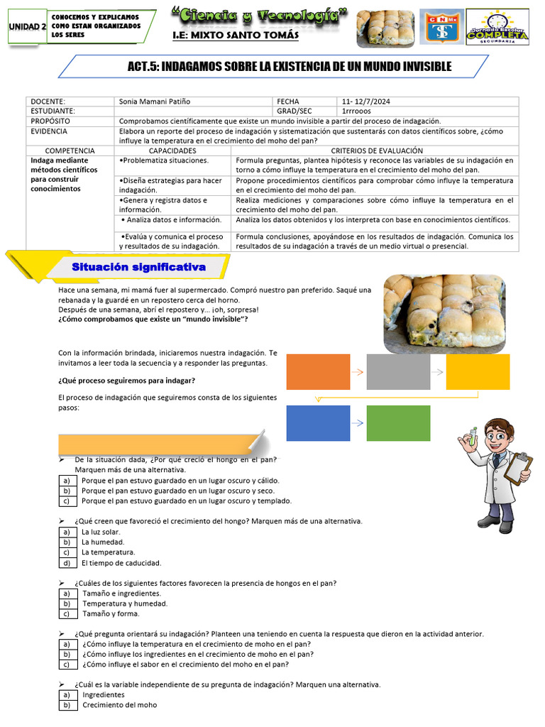 D-1º Act 5 Cyt Unid 2 | PDF