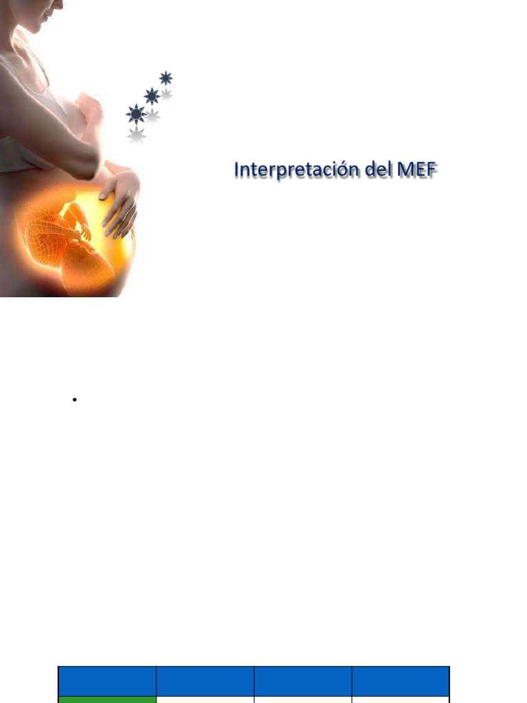Interpretación Del MEF | PDF