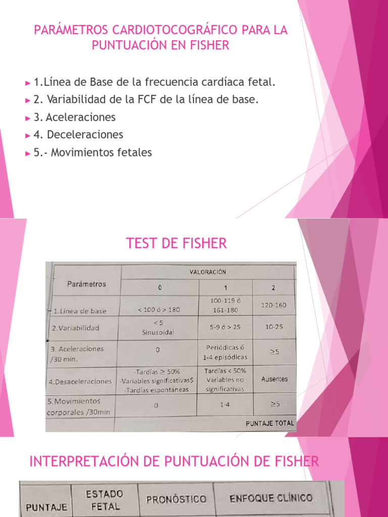 MEF Clase Práctica | PDF