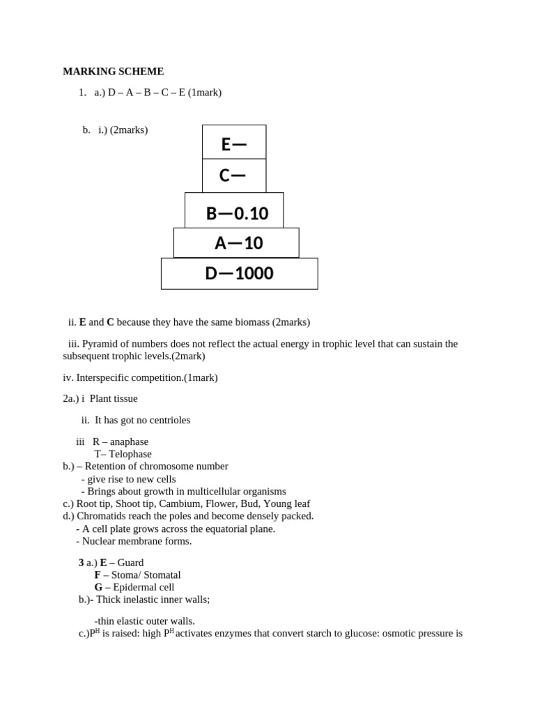 19.bio p2 Marking Scheme | PDF