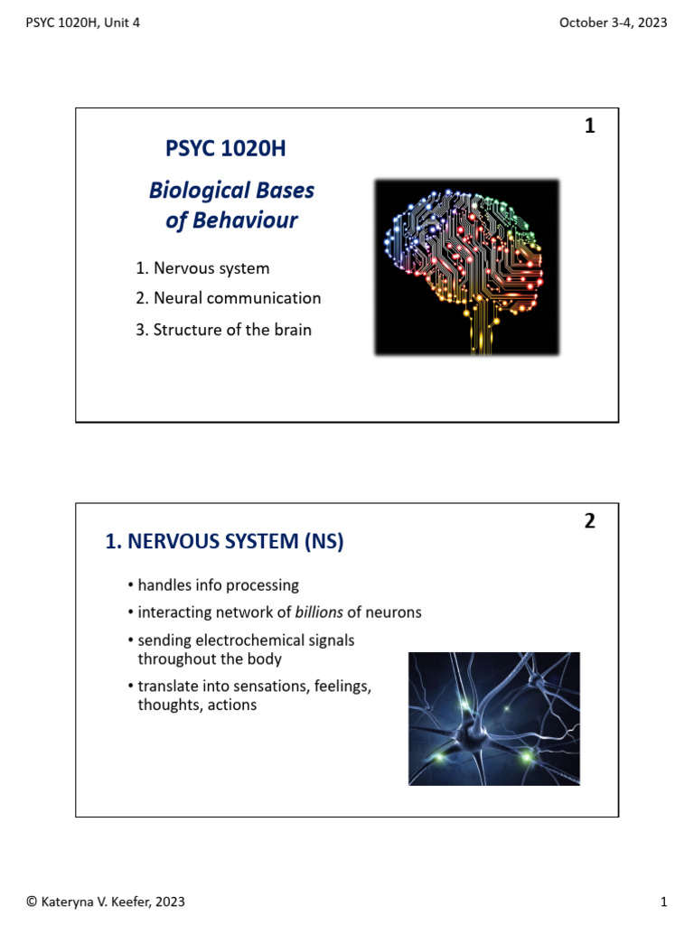 PSYC1020 Biological Bases of Behaviour Annotated Slides | PDF