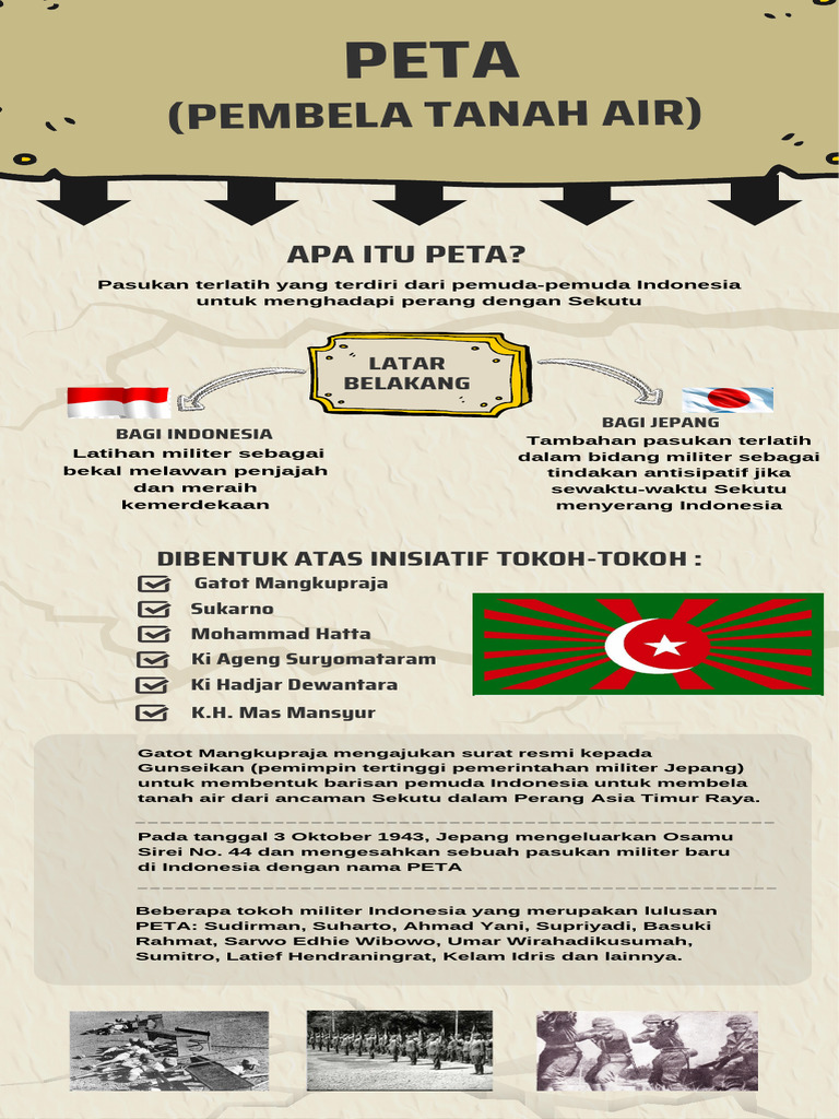 Infografis PETA | PDF