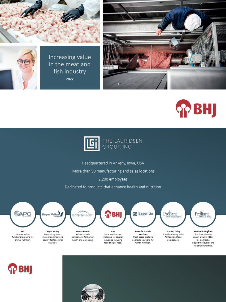 BHJ Corporate Presentation 2022 | PDF