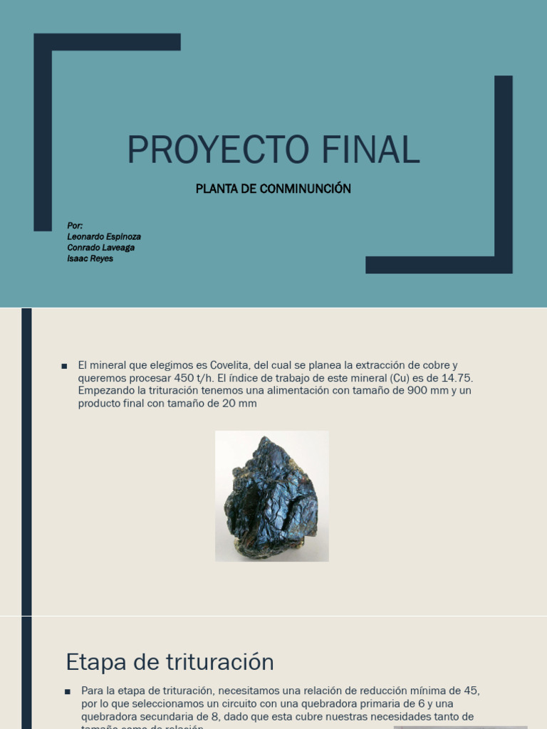 Proyecto final | PDF