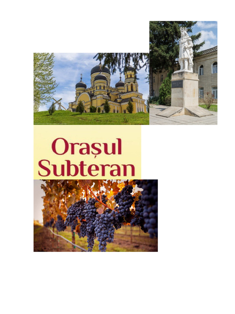 Calatorie in Tara Mea | PDF