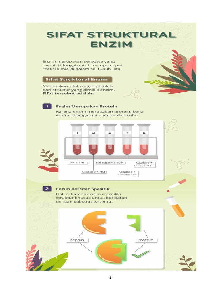 Materi 1 Enzim | PDF