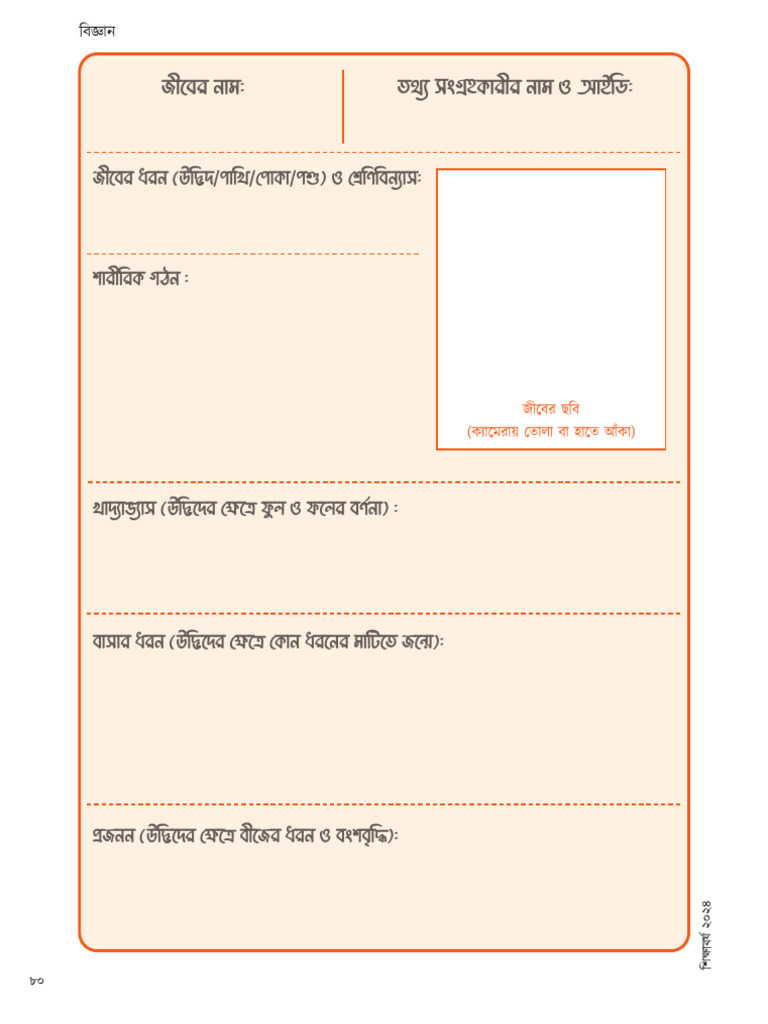 Mughdho | PDF