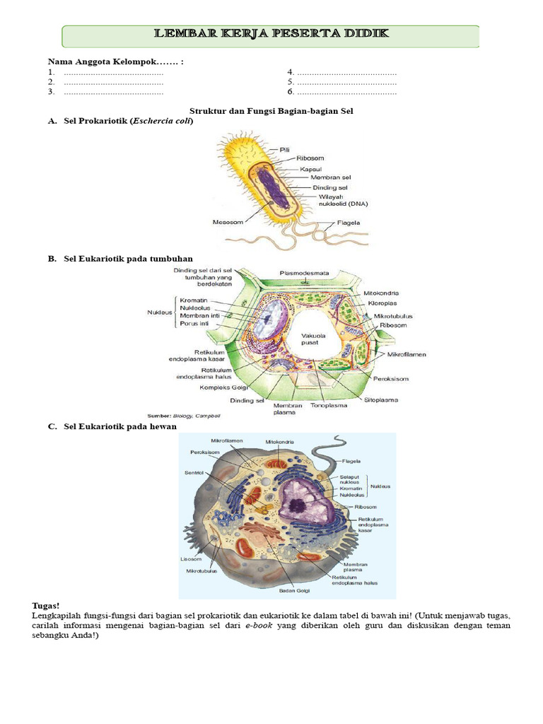 Struktur Dan Fungsi Bagian-Bagian Sel | PDF