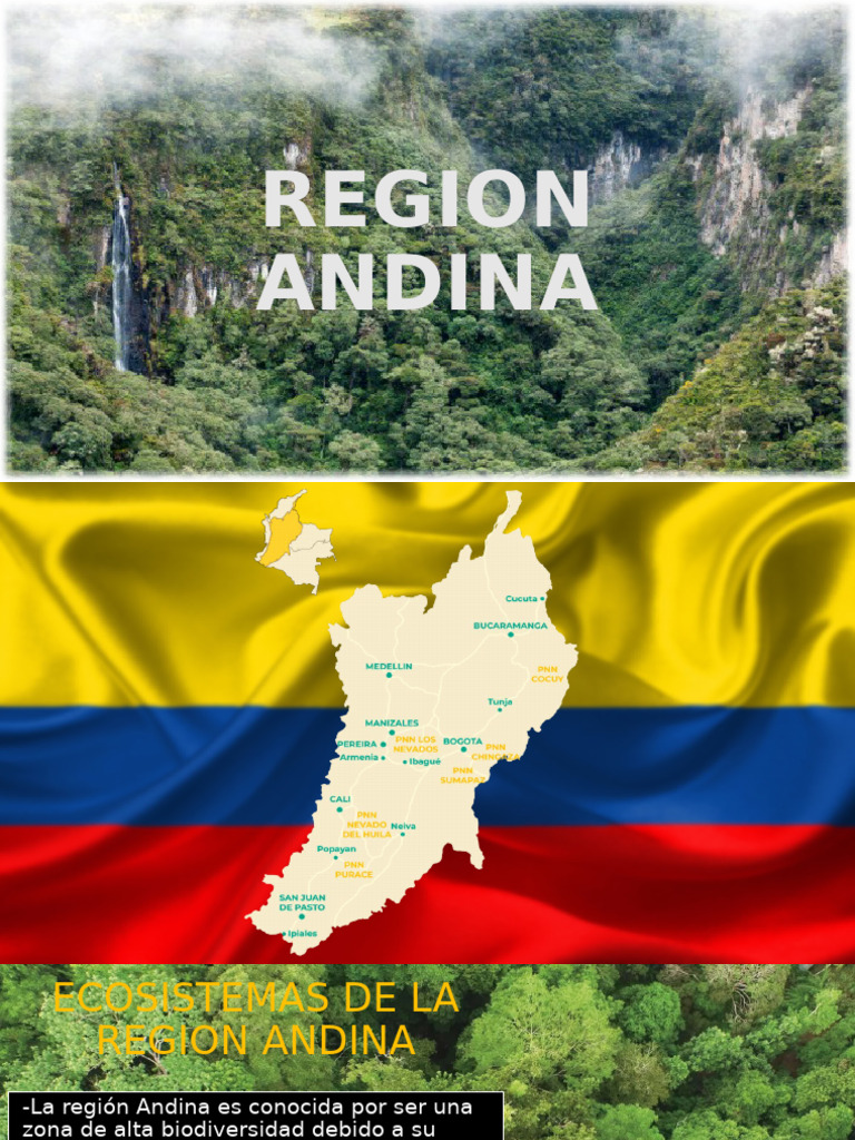 Region Andina v2 | PDF | Home & Garden