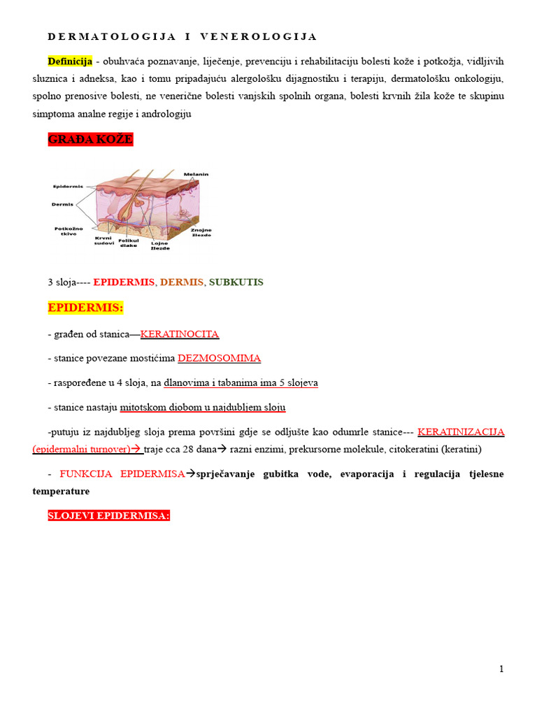 Derma Moja Skripta | PDF