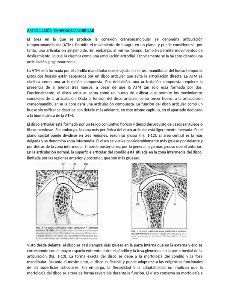 Okeson | PDF