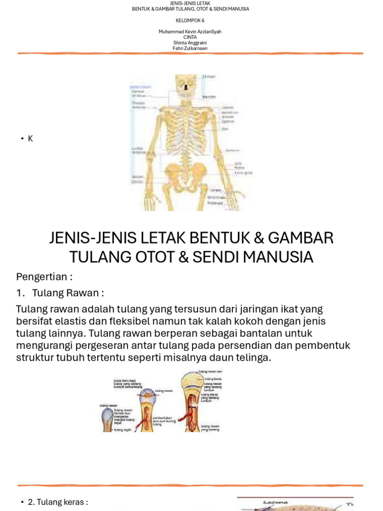 Presentasi Kelompok 6 KELAS 6B | PDF Presentasi Kelompok 6 KELAS 6B | PDF