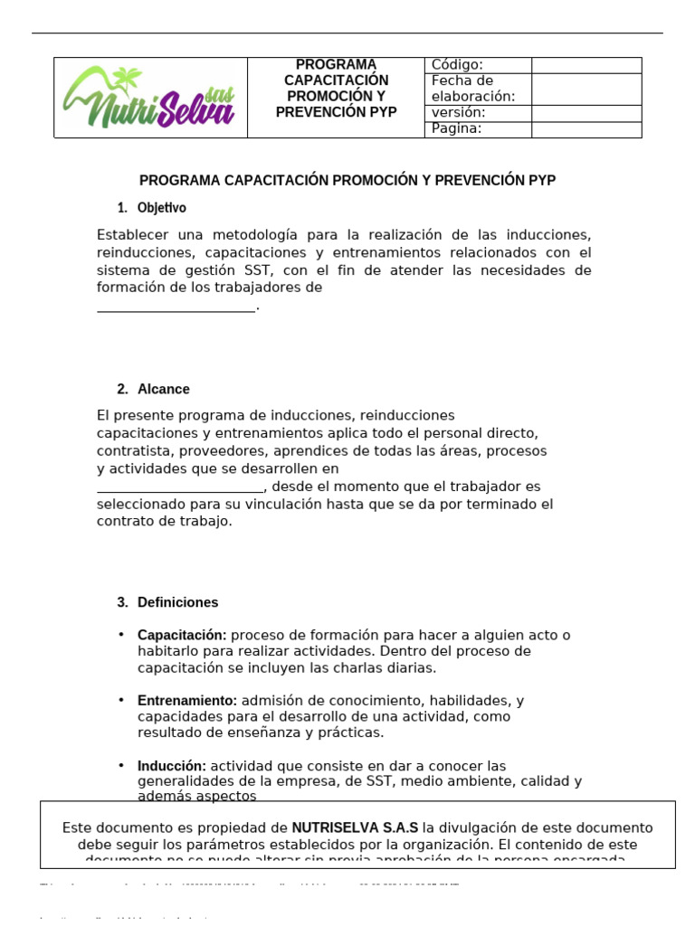 Programa Capacitaci N Promoci N y Prevenci N PYP | PDF | Business
