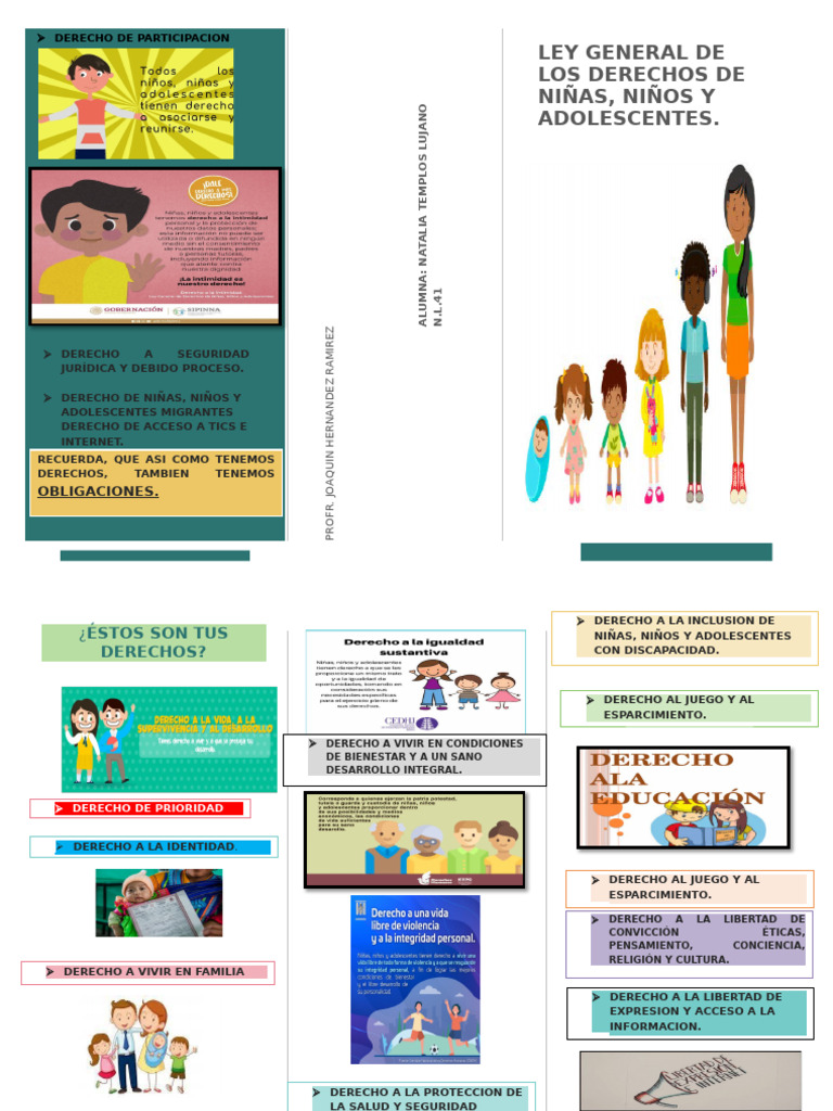 Triptico de Ley Gral | PDF | Psicología Social | Política