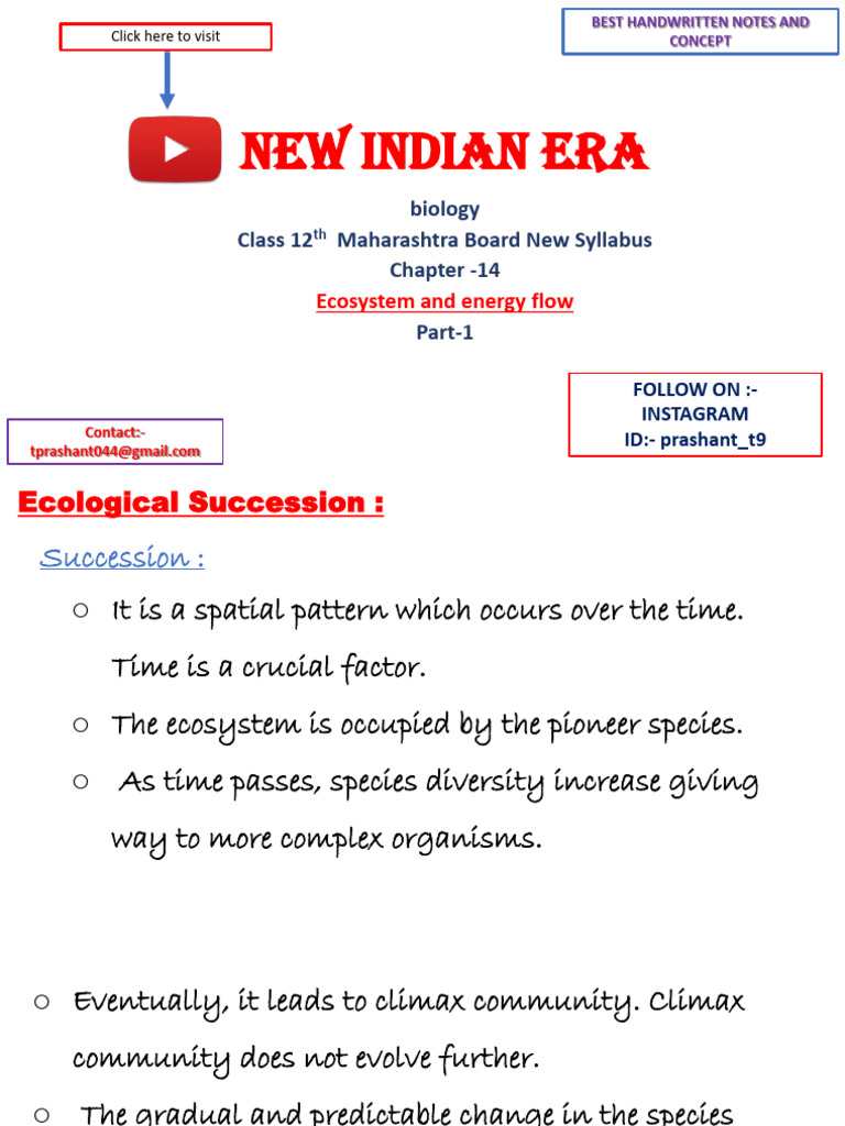 12th Bio Ch14 Ecosytem and Energy Flow | PDF