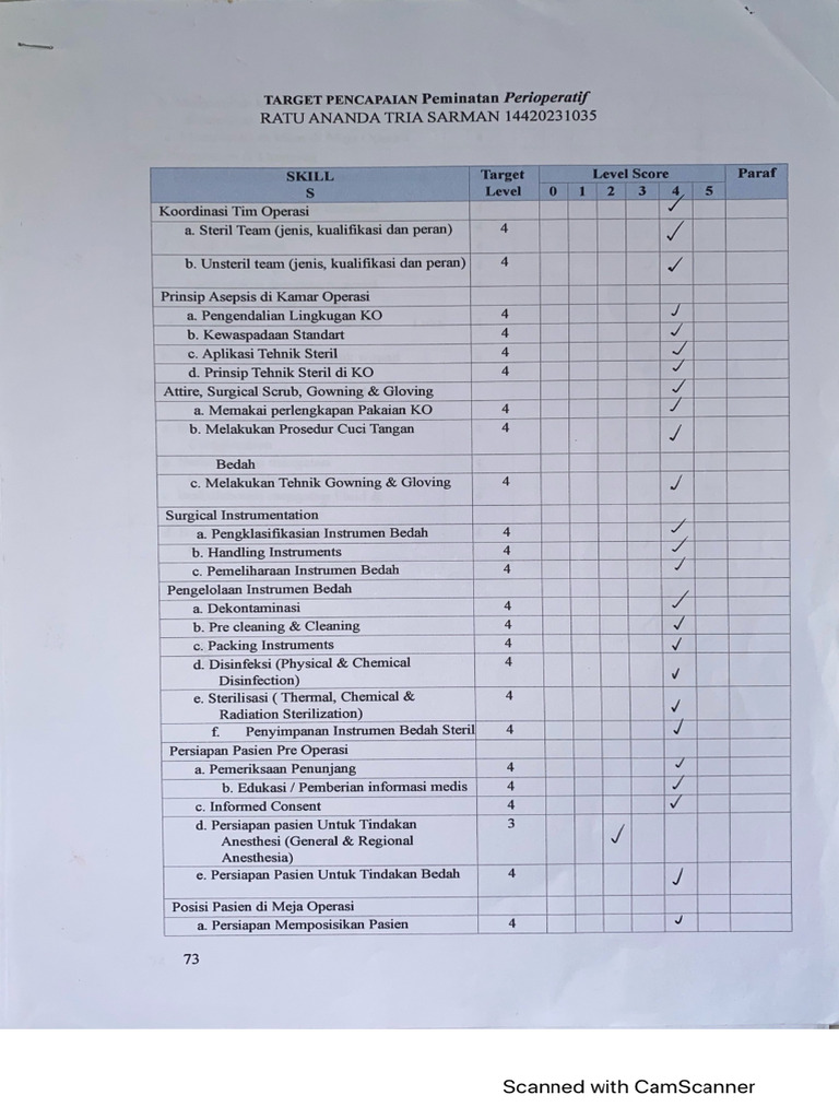Target Pencapaian | PDF