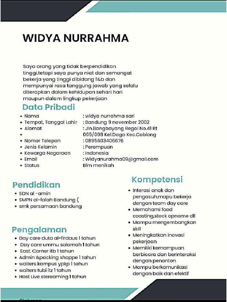 CV Widya | PDF