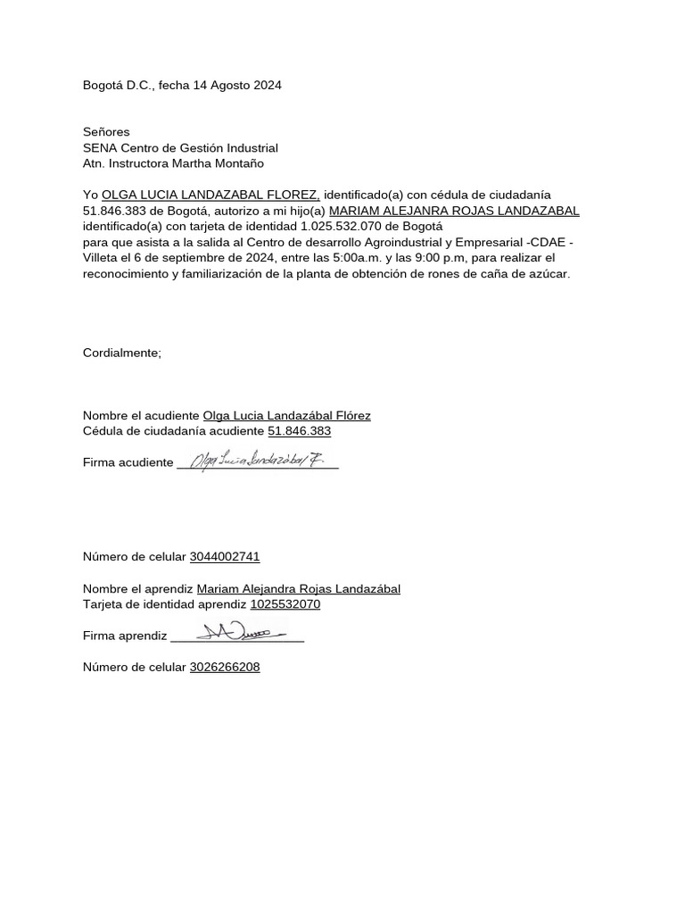 MODELO CARTA DE AUTORIZACIÓN A MENORES | PDF