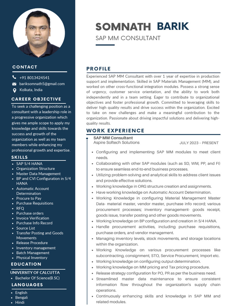 SOMNATH SAP MM RESUME (1) | PDF