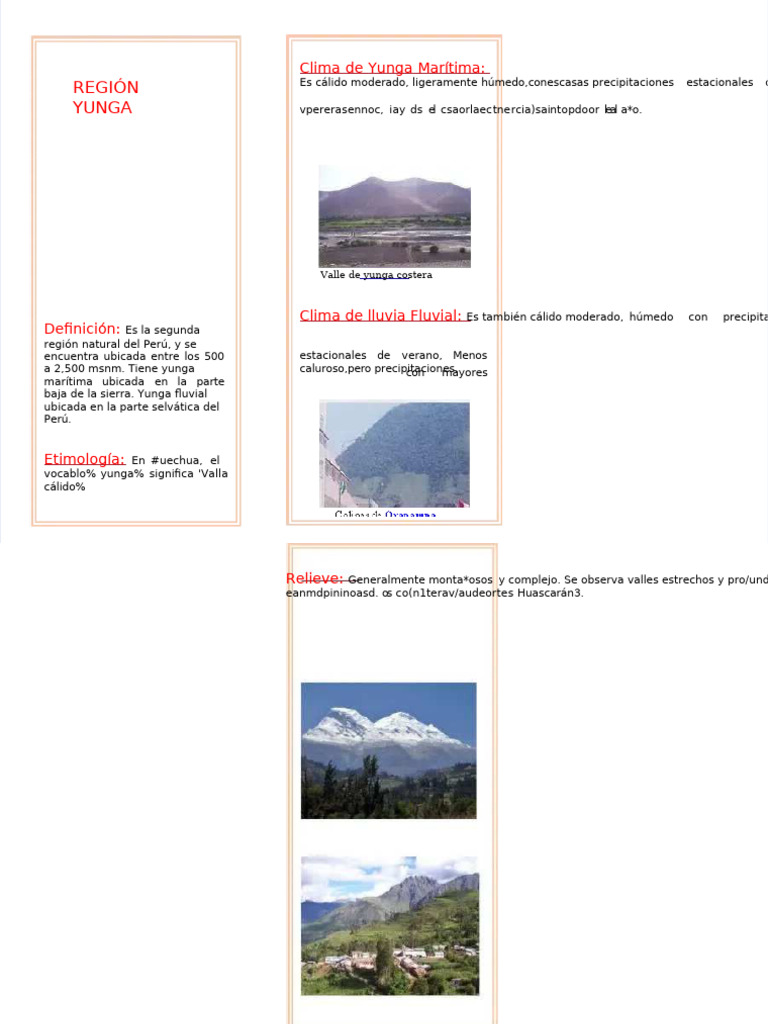 Región Yunga del Perú: Clima y Flora | PDF