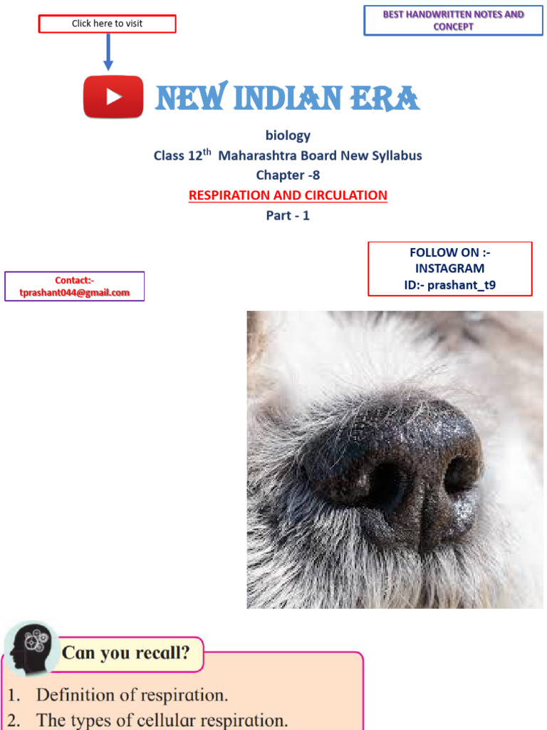 12th bio ch8 respiration and circulation | PDF