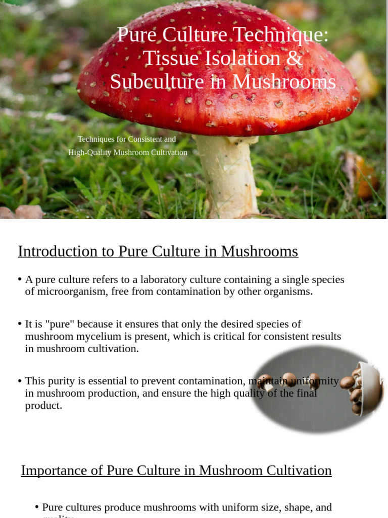 Pure Culture Technique | PDF