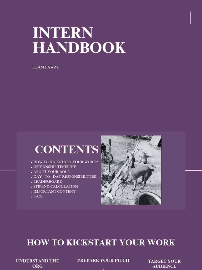 Intern Handbook c1 | PDF