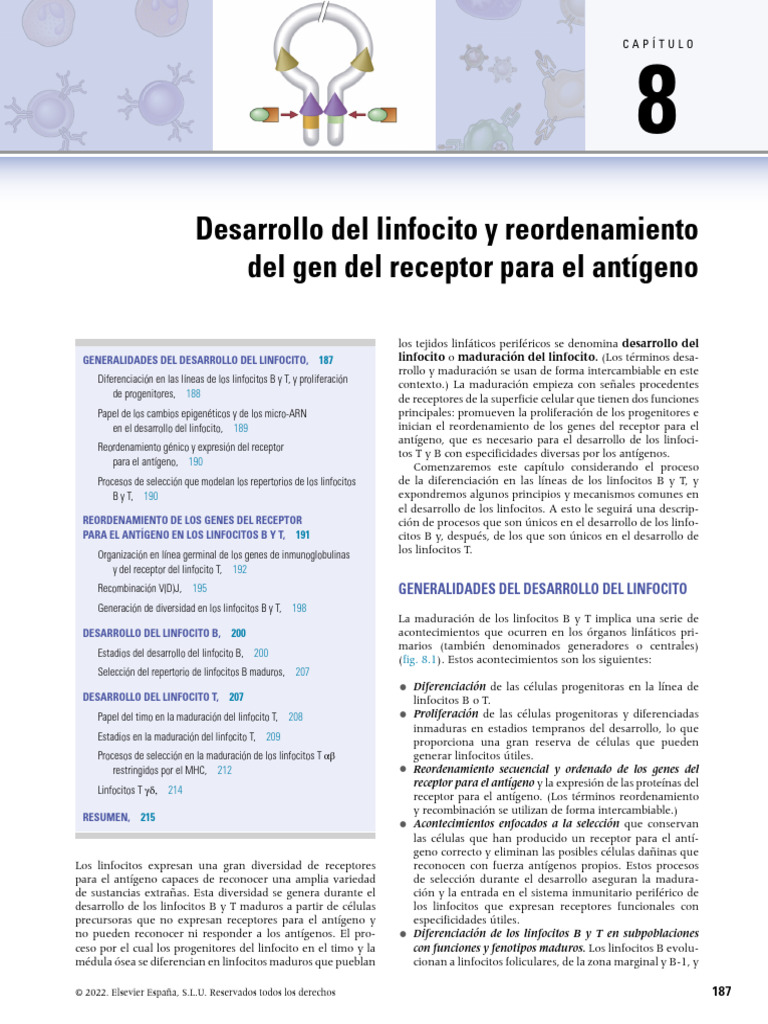 expo | PDF